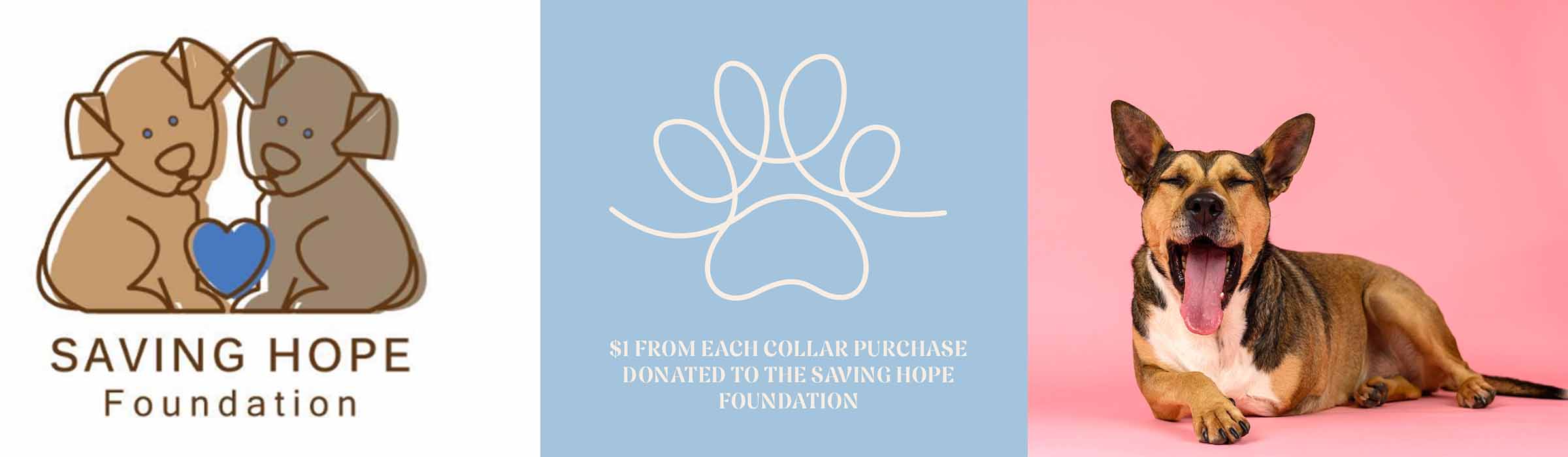 Oh Vienna and The Saving Hope Foundation